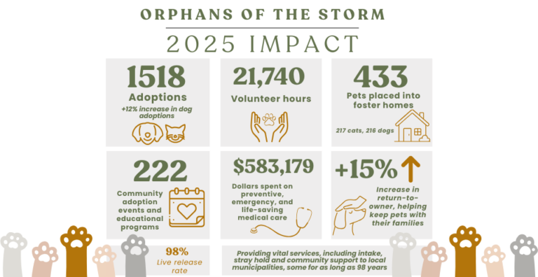 Home - Orphans of the Storm